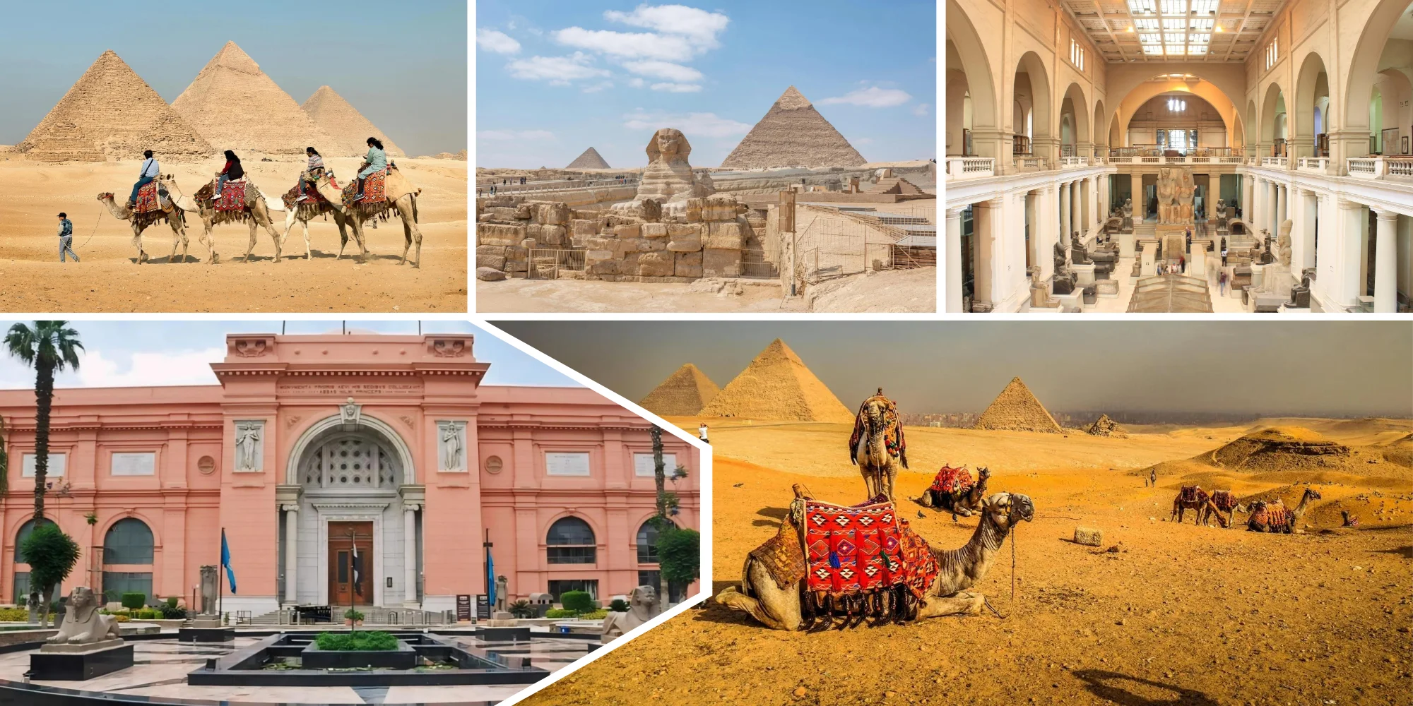 Pyramids of Giza and Egyptian Museum: Day Tour
